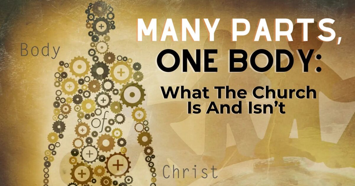 Cedarview | MANY PARTS, ONE BODY: WHAT THE CHURCH IS AND ISN’T